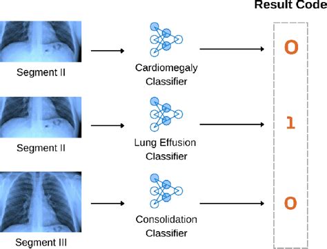 Automated Chest X Ray Report Generator Using Multi Model Deep Learning