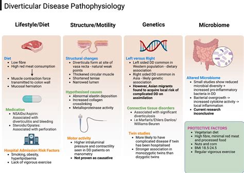 Diverticular Disease Update On Pathophysiology Classification And Management Frontline