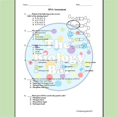 ESL SPED Biology DNA Assessment Quiz Or Test Made By Teachers