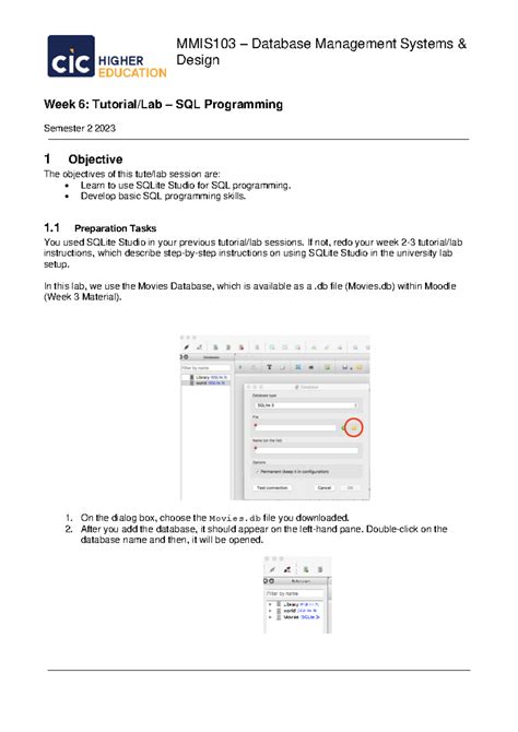 Week Tutorial D MMIS Database Management Systems Design Week Tutorial Lab SQL