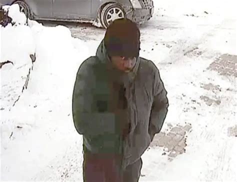 Suspect Sought In The Murder Of Cece Luppino About The Mafia