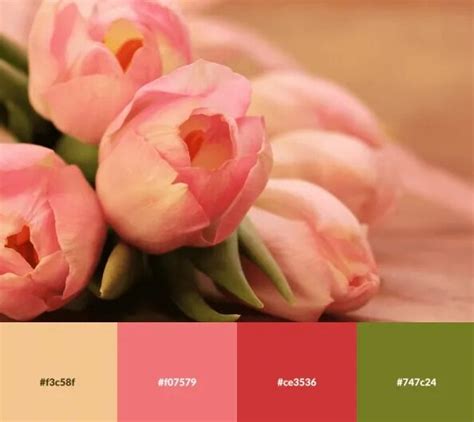 رنگ هایی که ترکیب آنها خانه‌تان را زیبا می‌کند تصاویر