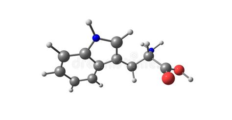 Tryptophan Molecular Structure Isolated On Black Stock Illustration Illustration Of Model