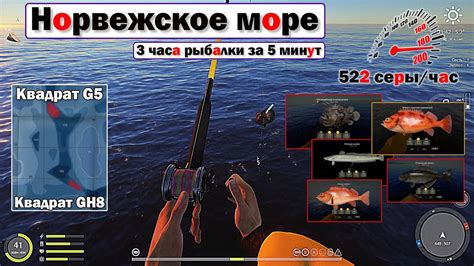 Первый Гимантолоф • Много рыбы в подводных протоках • 3 часа рыбалки за ...
