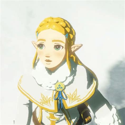 Princess Zelda Favorite Character Comic Art Breath Of The Wild