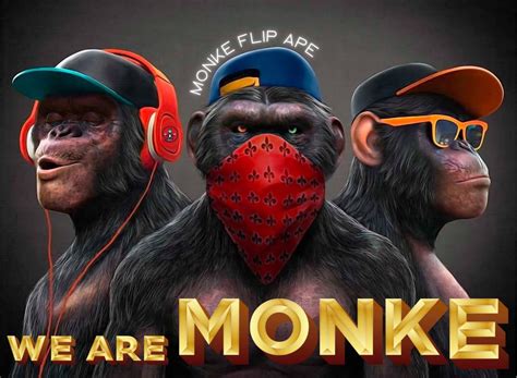 All In On The Monke We Build So All Can Win Contract Is Solid