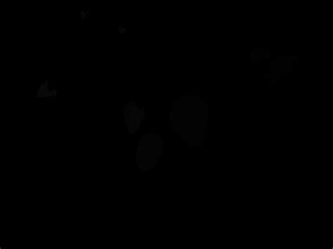 yachay tech roboflow universe