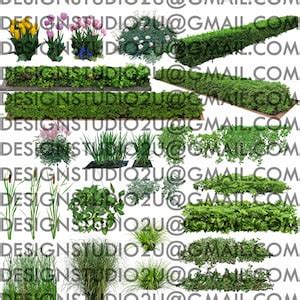 Photoshop Tree Elevations PNG Landscape Architectural Graphics Clipart Templates Symbols Design