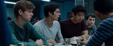 Thomas Newt And Minho The Maze Runner Thomas Photo Fanpop