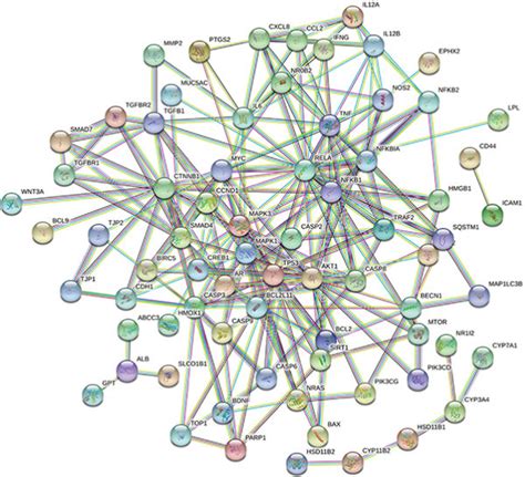 A Five Disease Gene Databases Combined With Venn Diagrams B Venn Download Scientific