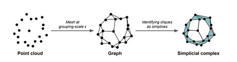 The Construction Of A Simplicial Complex From A Point Cloud First A
