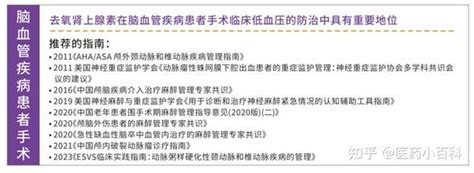 来自苑东不一样的盐酸去氧肾上腺素注射液 知乎