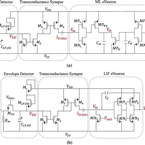 Proposed Synapse With Dual Functionality Excitation And Inhibition Download Scientific Diagram