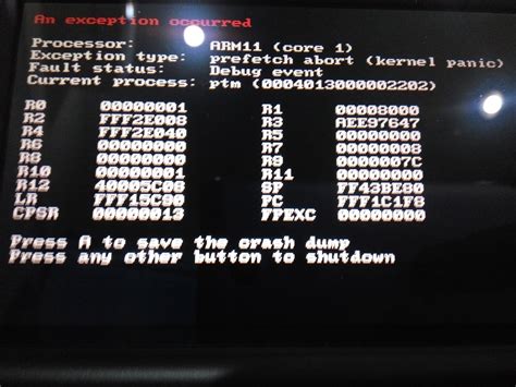 exception occurred arm11 core 1 the independent video