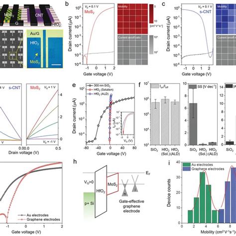 A Schematic Of Field‐effect Transistors Fets Based On Assembled Download Scientific Diagram