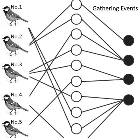 connection network consisting of two layers of nodes with the left