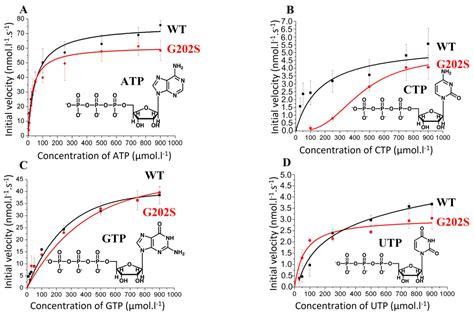 Is Atp The Only Nucleoside Triphosphate Among Atp Ctp Gtp And Utp To Have A Role In Kinase