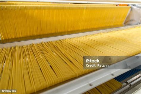 파스타 생산 공정 컨베이어 벨트에 파스타의 다양한 종류 0명에 대한 스톡 사진 및 기타 이미지 0명 공장 산업 건물 사진 이미지 Istock