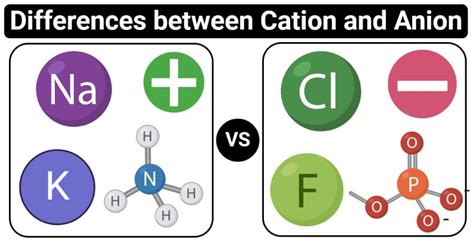 Cation Vs Anion Definition 10 Major Differences Examples