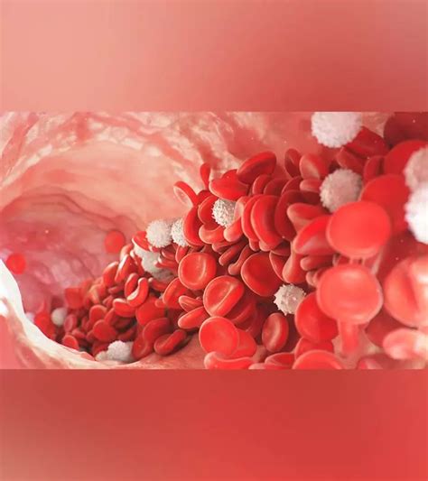 Is High White Blood Cell Count During Pregnancy Normal