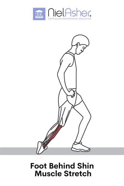 Trigger Point Therapy Extensor Digitorum Muscle Stretches Trigger Point Therapy Muscle