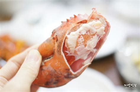 [덕수궁맛집 북창동맛집] 푸짐한 킹크랩과 랍스타 한상차림 시청역 스타킹크랩 네이버 블로그