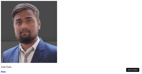 Portfolio Codesandbox