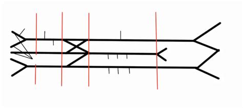 OT544 Lab Brachial Plexus Drawing Diagram Quizlet