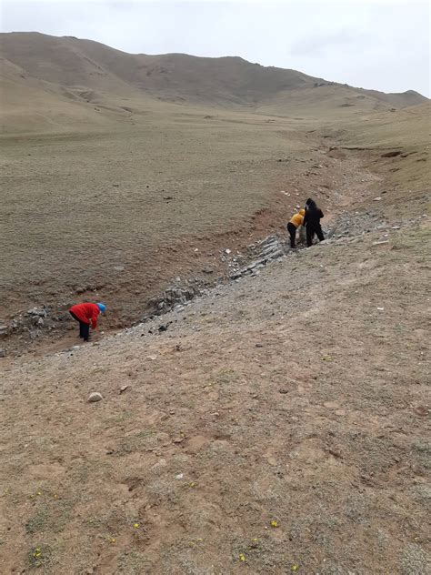 Хаврын их цэвэрлэгээний ажил зохион байгуулагдлаа