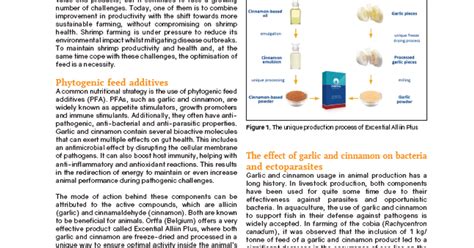 Phytogenic Feed Additives Garlic And Cinnamon To Improve… Orffa
