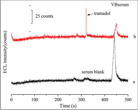 Determination Of Tramadol In Human Serum By Capillary Electrophoresis With The End Column