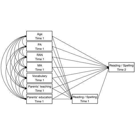 Baseline Model For The Relations Between Cognitive Linguistic