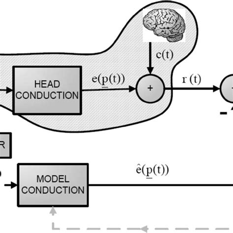 Use Of An Eye Tracker As A Basis For Eye Movement Artifact Correction Download Scientific