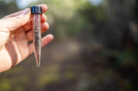 Premium Photo University Babe Conducting Research On Forest Health Farmer Collecting Soil