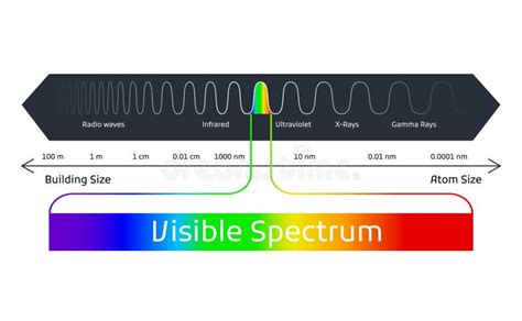 Spectrum Wavelength Visible Spectrum Color Range Educational Physics
