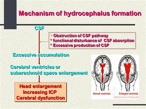 Surgical Department Of Renhe Hospital Of The Three Gorges University Ppt Video Online Download
