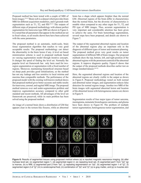 Description Of Different Phases Of Brain Tumor Classification PDF