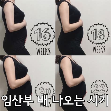 임산부 배 나오는 시기 임신 주수별 배크기 사진 17주차 18주차 증상 네이버 블로그