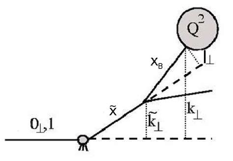 Pictorial Representation Of The Proposed Evolution Equation The