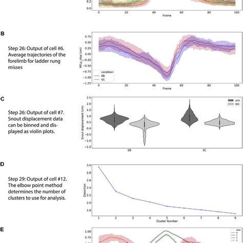 Screenshots Of Output From Average Data And Perform Clustering Steps