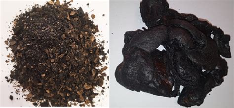 Biochar