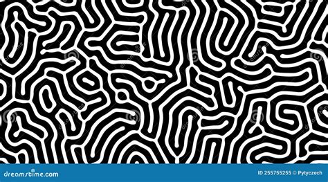 Black Abstract Organic Turing Patern Stock Vector Illustration Of