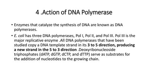 Dna Replication 31 Ppt