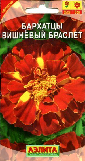Купить Бархатцы "Аэлита" Вишневый браслет 0,3 г в Онсад.ру с доставкой ...