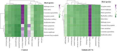 Clustering Of Host Species Based On The Twelve Traits Of Sandalwood