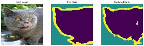 Image Segmentation Tensorflow Core