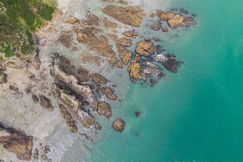 Boffa Miskell At The 2022 New Zealand Coastal Society Nzcs Boffa