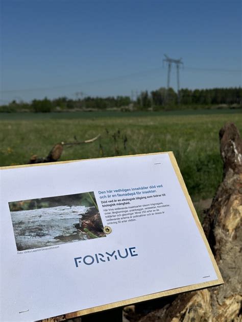 Formue Tar Sex Steg För ökad Biologisk Mångfald