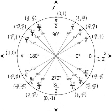 Unit Circle And Trig Functions 11th 12th Grade Quiz Quizizz