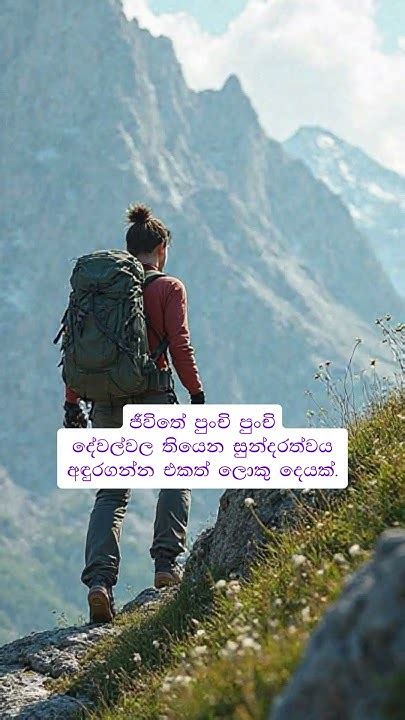 අහසේ නිදහස කුරුල්ලෙකුගේ පියාසැරියක සුන්දරත්වය🕊️🪽🌸 Motivation Sinhalamotivational Quotes